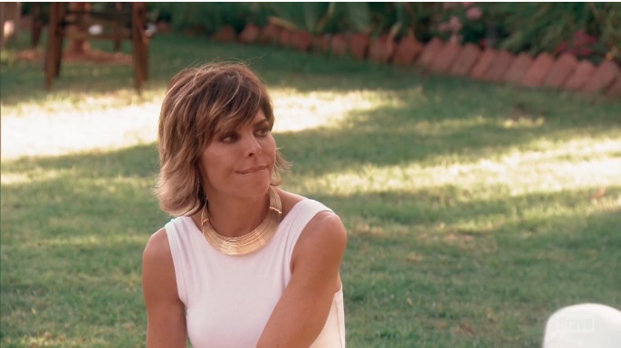 Lisa Rinna Shares Supposed Texts With Denise Richards After Garcelle ...