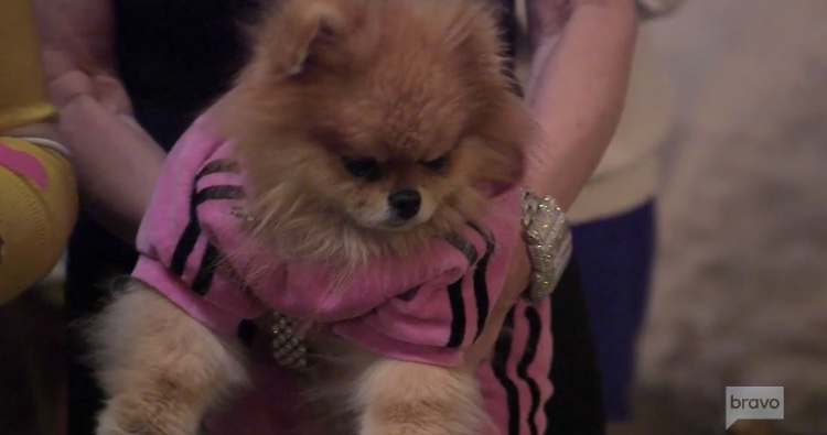 Lisa Vanderpump's Dog Giggy Vanderpump Passed Away