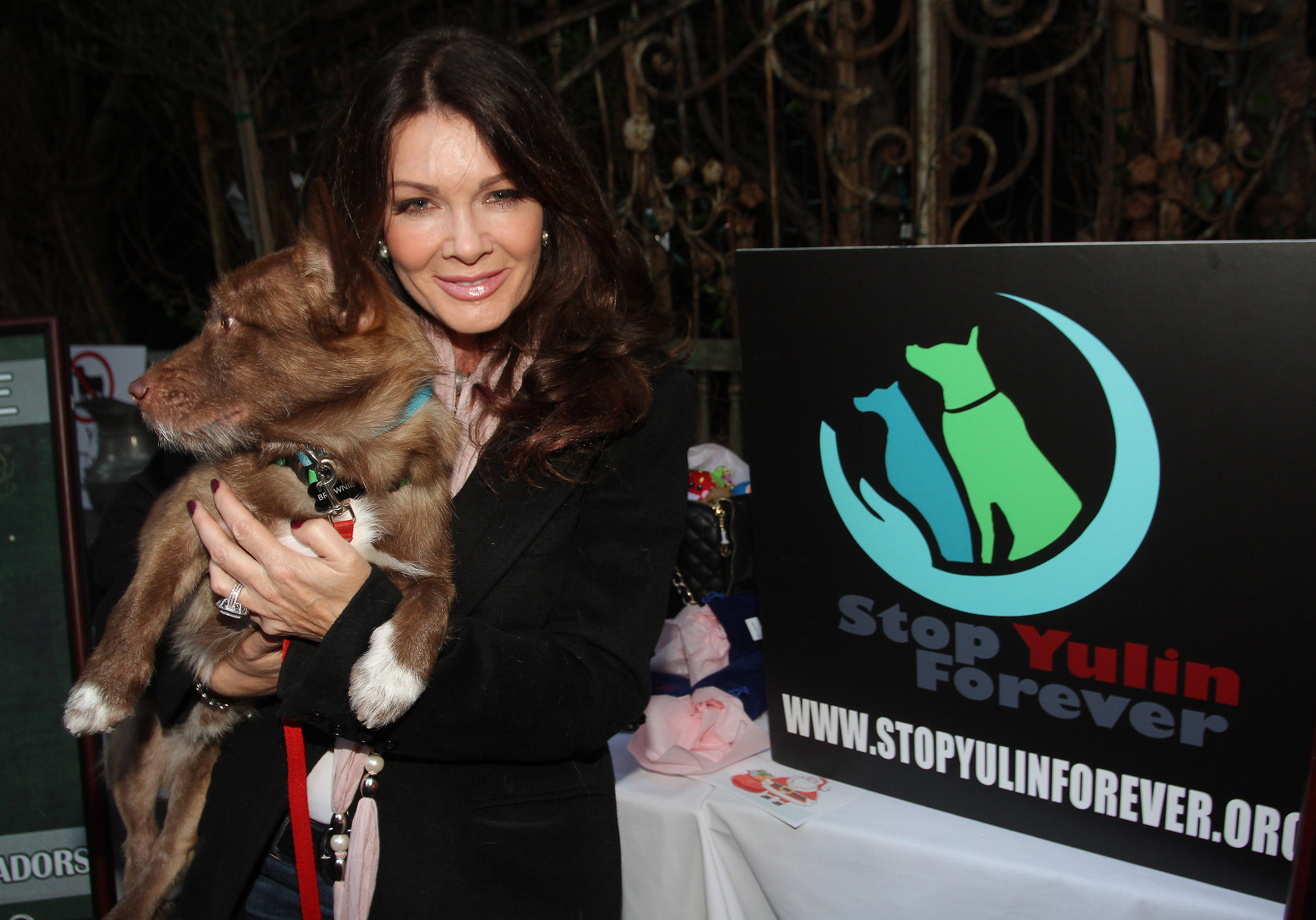 The Controversies & Successes of Lisa Vanderpump’s Dog Rescue