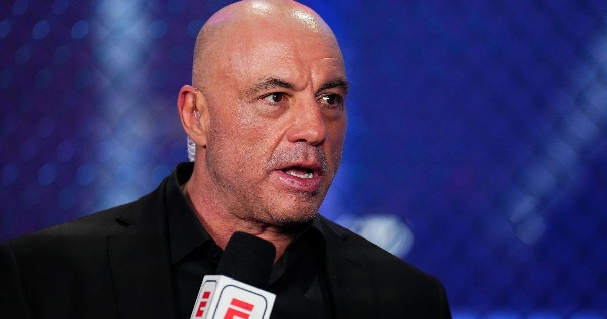 Joe Rogan Fans Are Upset With Renee Rap For This Reason