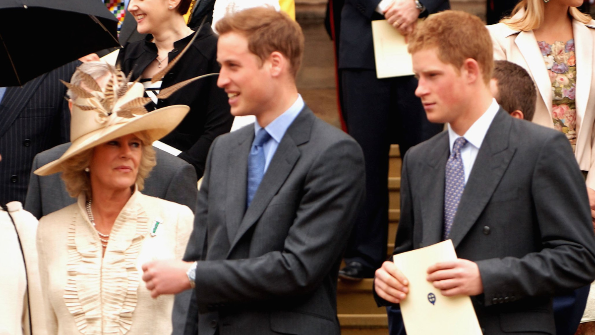Prince Harry & Prince William Gave 'Cruel' Nicknames to Queen Camilla ...