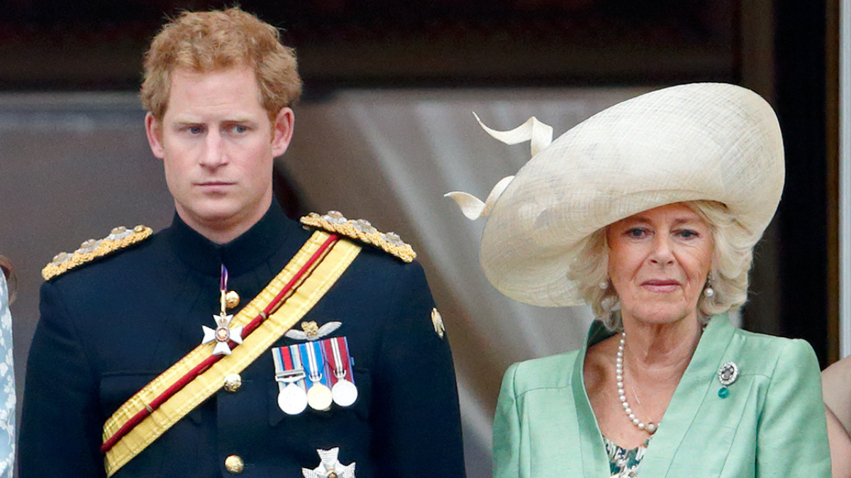 Queen Camilla Is 'Biggest Obstacle' Between Stepson Prince Harry ...