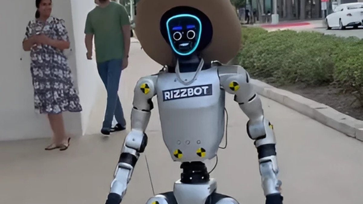 AI Rizzbot's Rude Behavior Goes Viral on TikTok After Face-off With ...