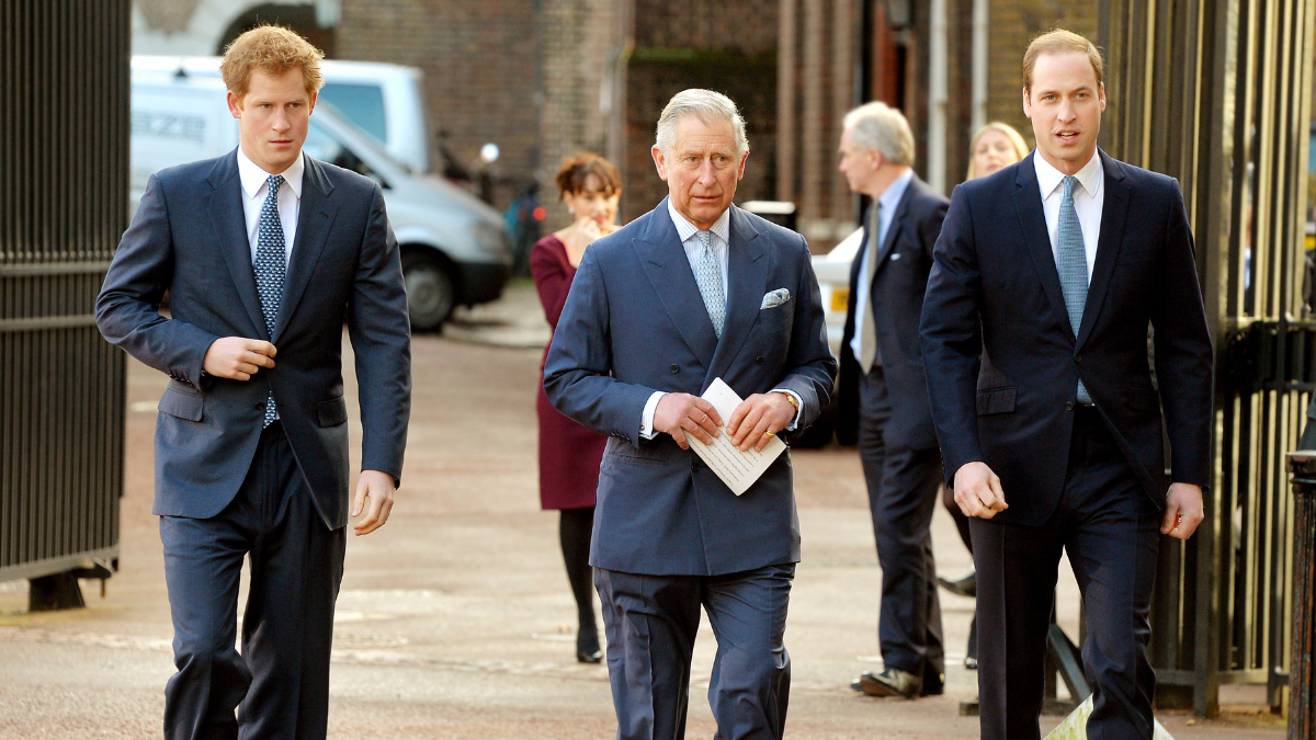 Prince Harry Reunion Was King Charles' Way of Warning Prince William ...