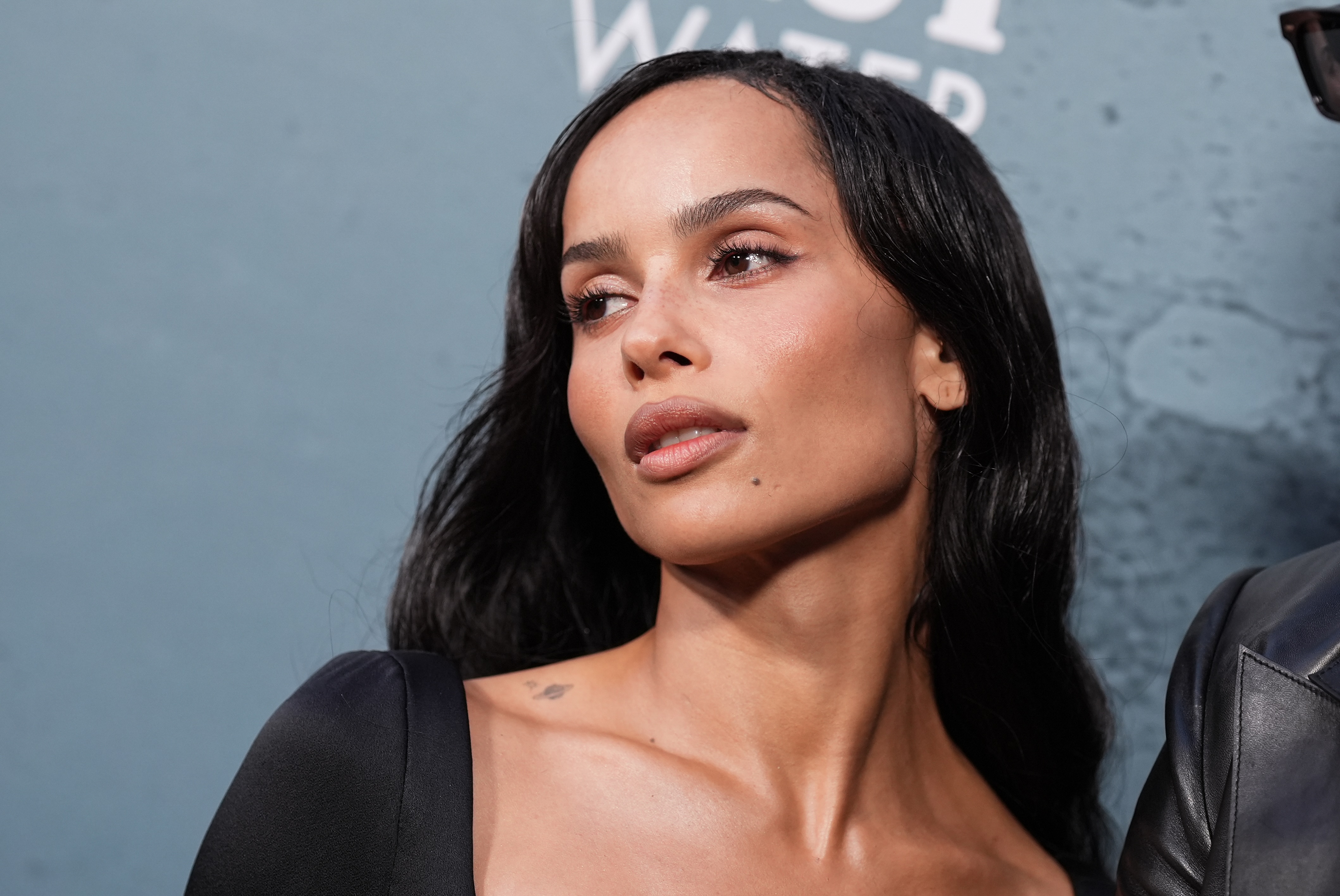 Zoë Kravitz Introduces Boyfriend Harry Styles to Dad Lenny in NYC ...