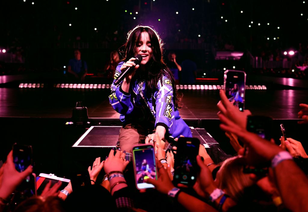 Billie Eilish Aggressively Grabbed by Fan at Miami Concert - Reality Tea