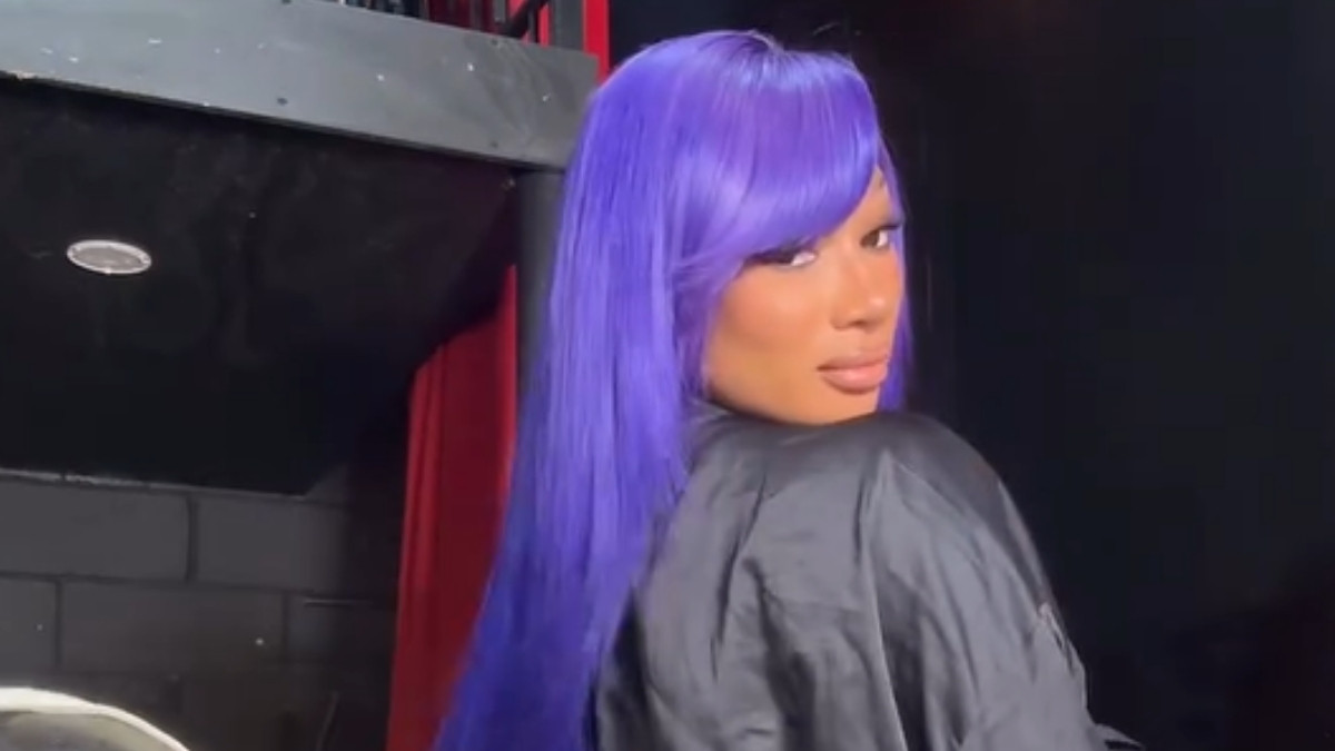 Megan Thee Stallion Has the Internet Stunned With Bathrobe Twerk ...