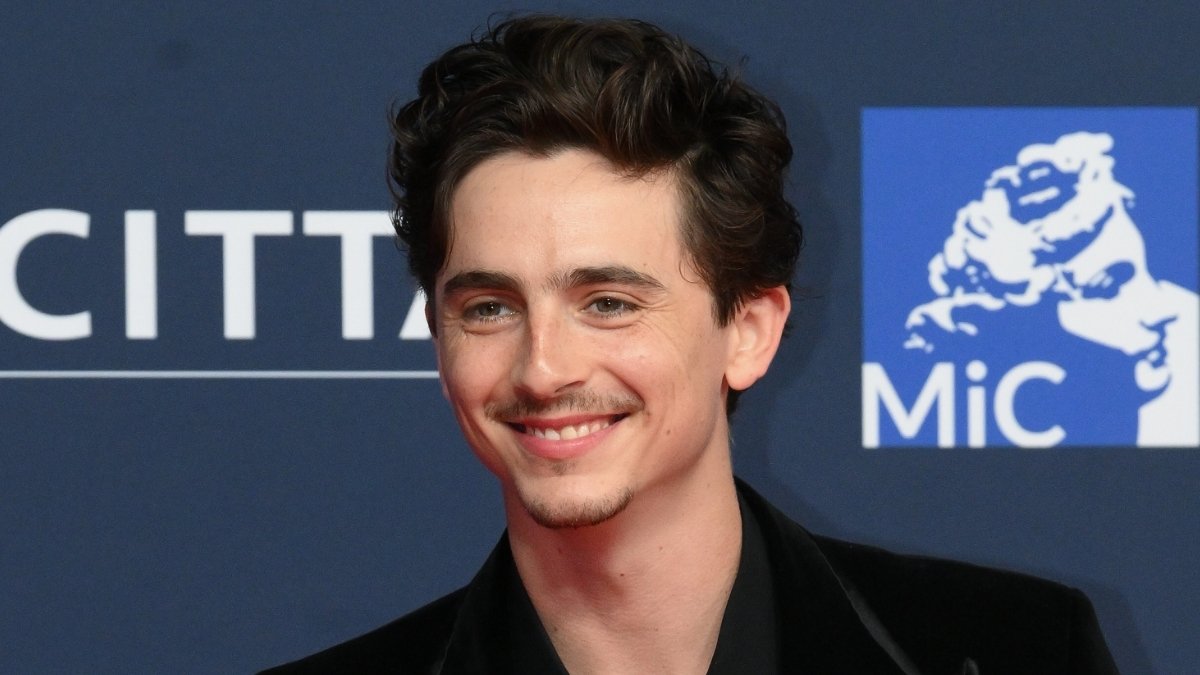 Timothée Chalamet Spotted Carrying a Small Purse & Fans Can't Stop ...