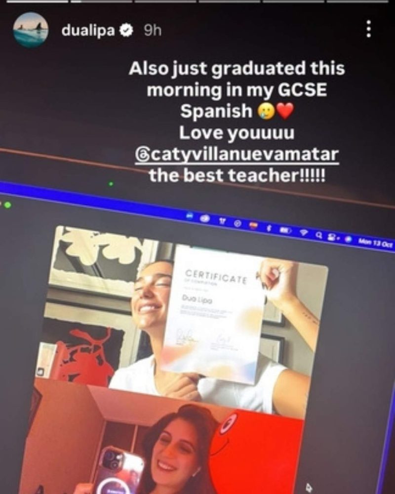 Dua Lipa Shares Big New Milestone & It Has Nothing To Do With Her ...