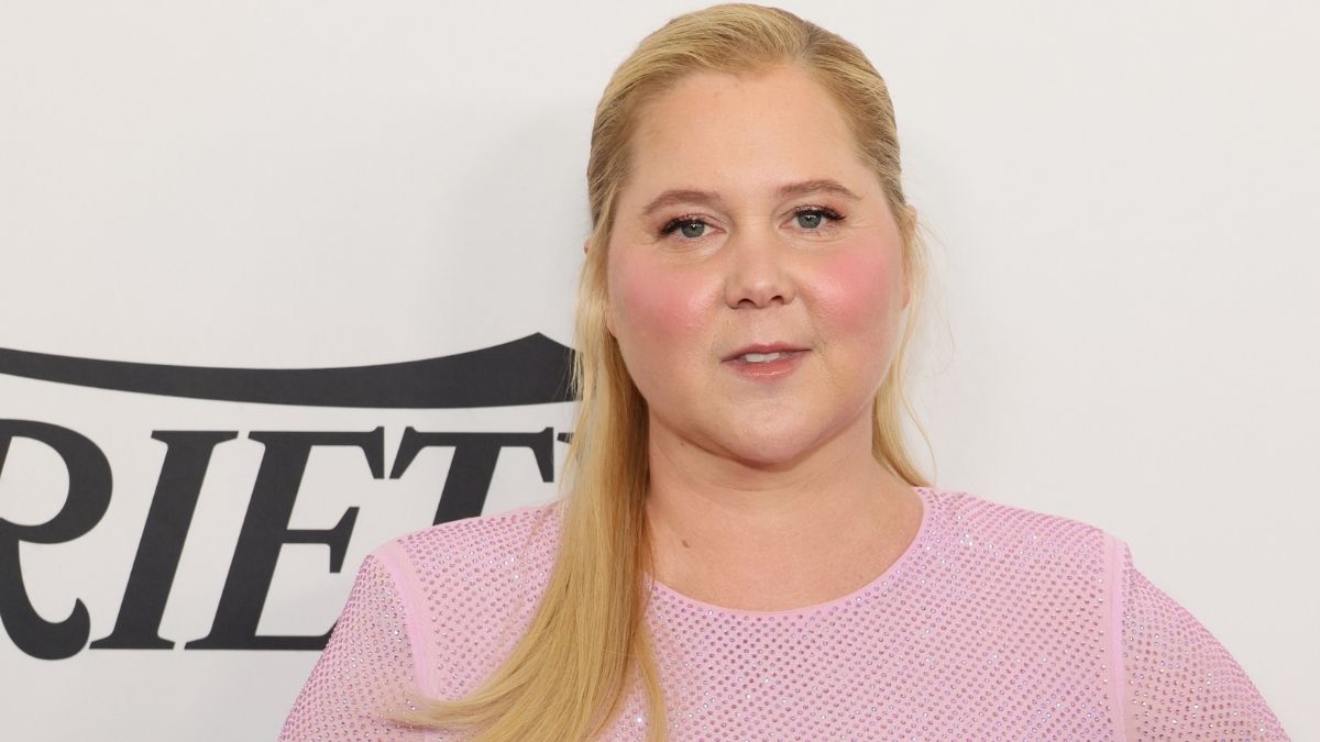 Amy Schumer Wiped Her Instagram Clean 'For No Reason' - Reality Tea