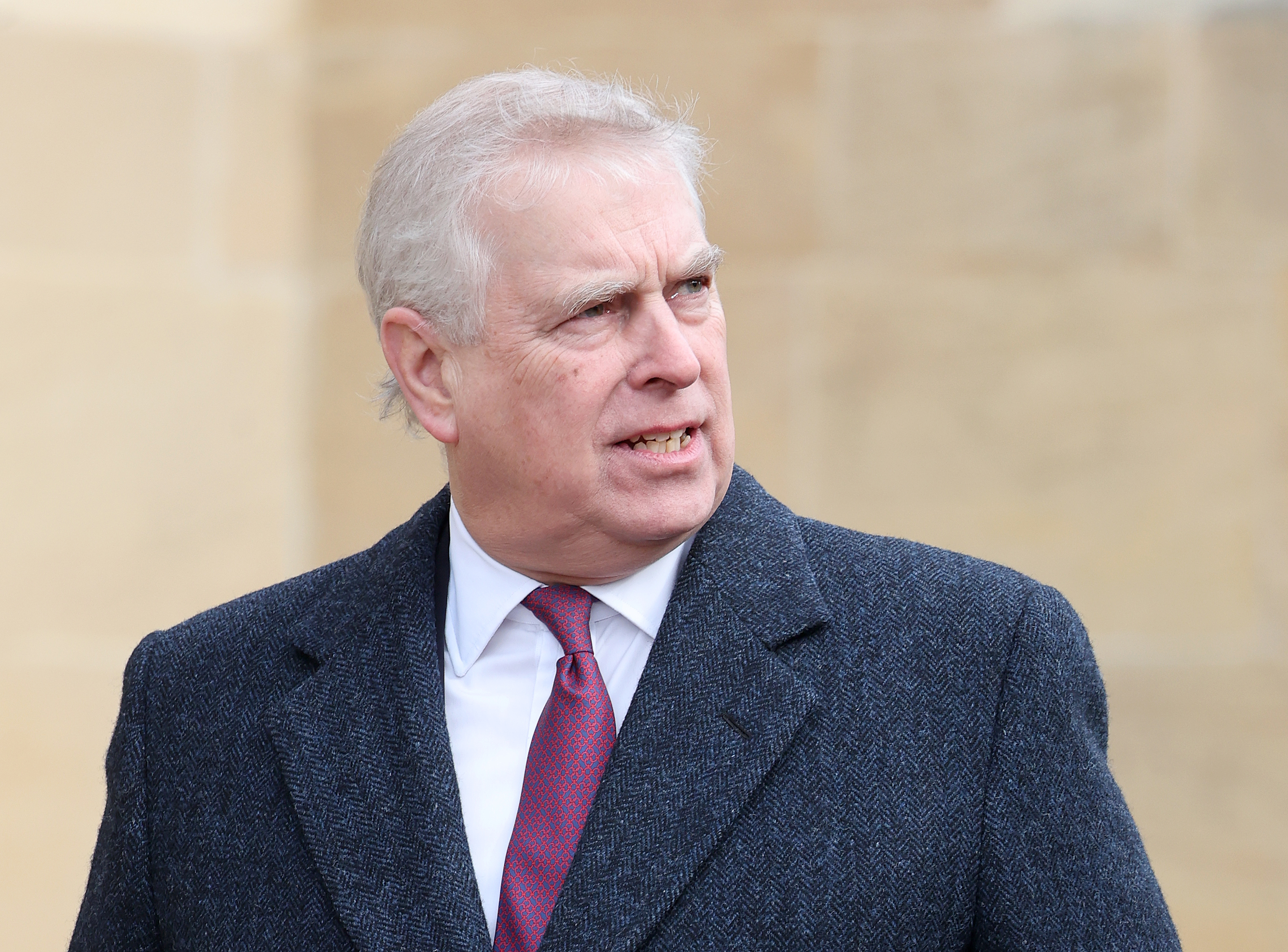 Ex-Prince Andrew Will ‘Probably Go to Jail,’ Claims Royal Historian ...
