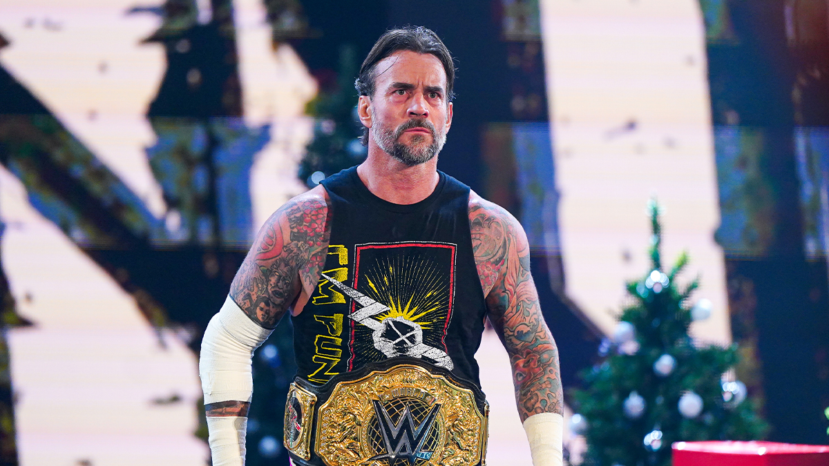 WWE Legend & Actor Thinks CM Punk Is ‘Done' - Reality Tea