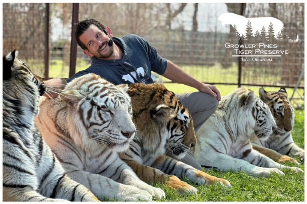 Tiger King Joe Exotic’s Associate Dies After Animal Attack: Brutal ...