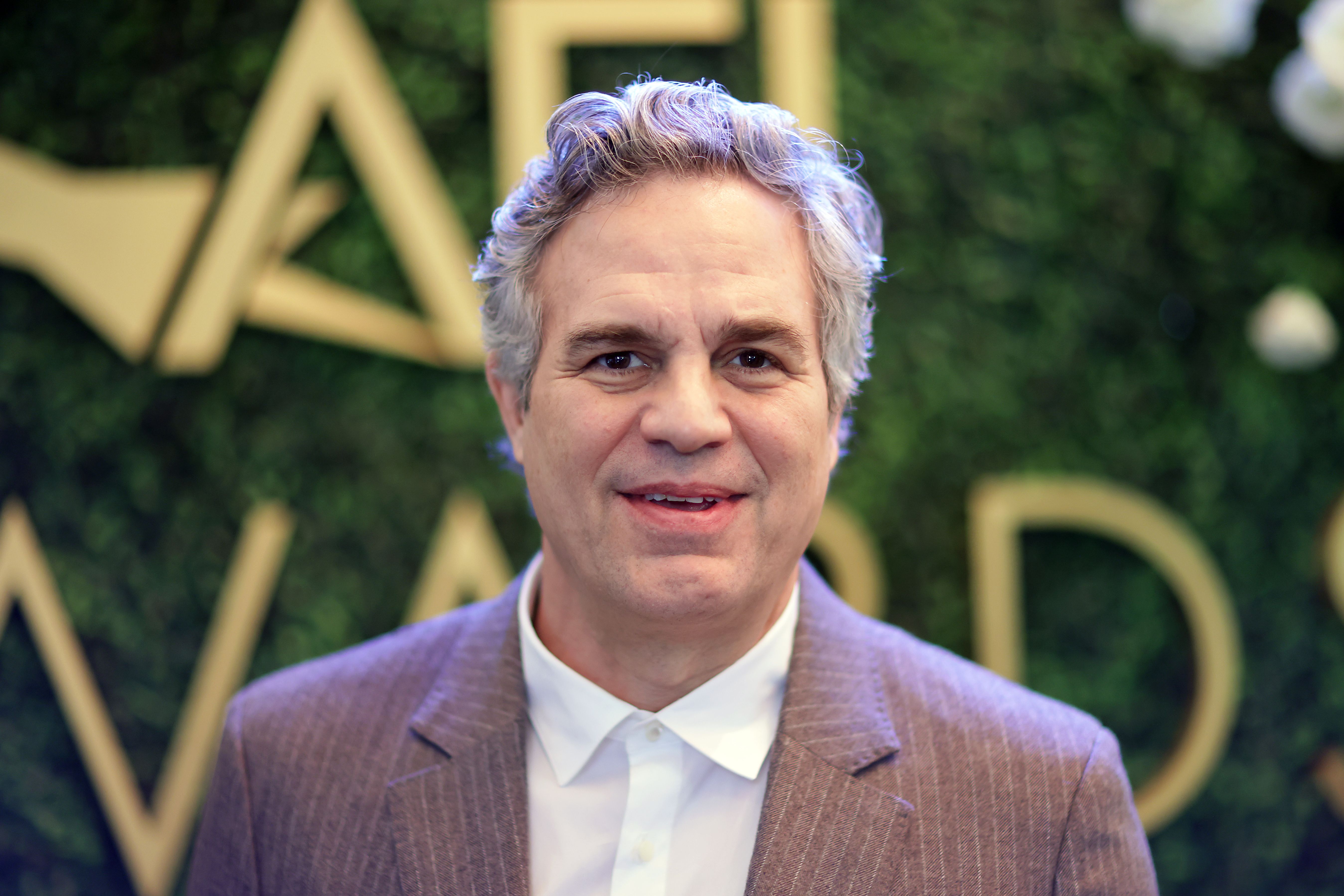Mark Ruffalo Sparks Rumors He Will Run for Political Office - Reality Tea