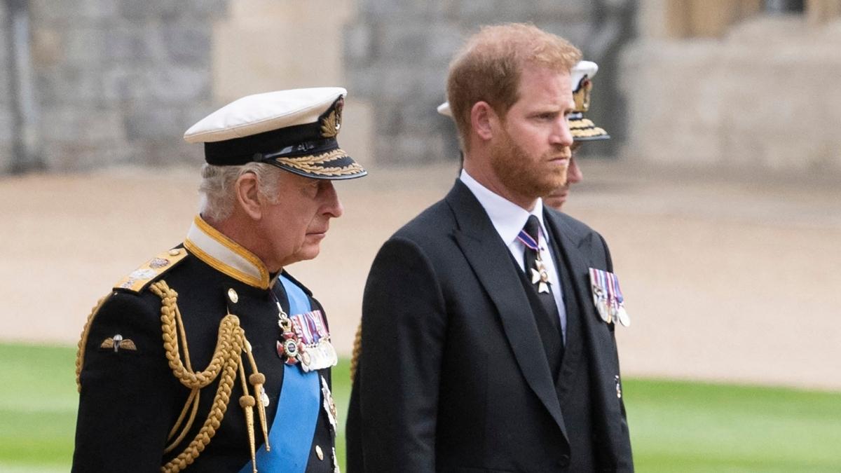 Prince Harry & King Charles Meeting Could Repair Relationship — Expert ...