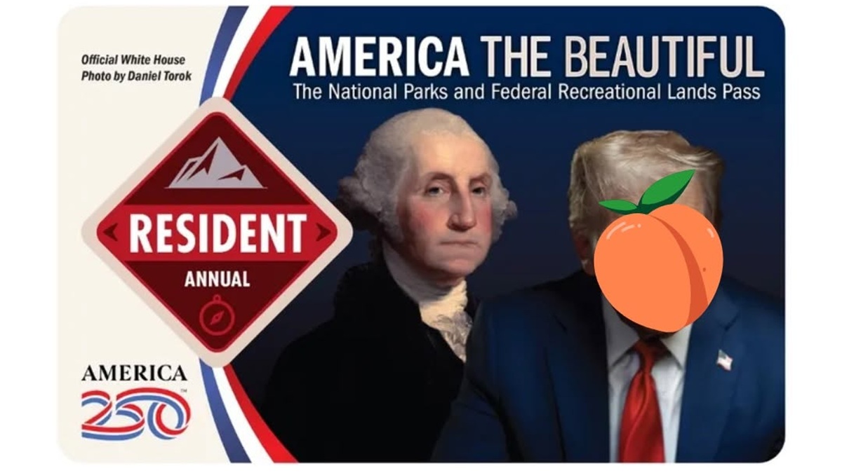 Covering Trump's Face on These New Passes Will Cost You - Reality Tea