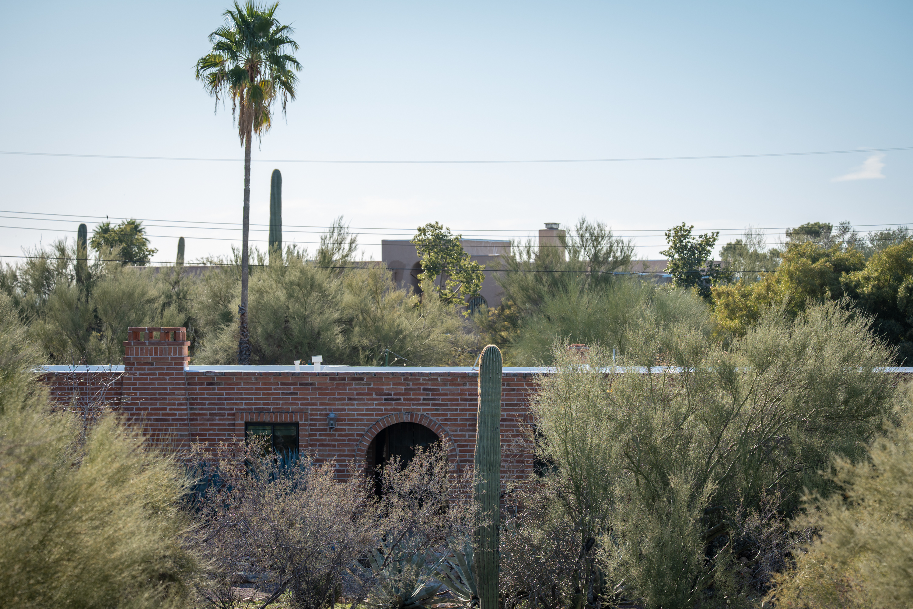 Nancy Guthrie Roof Camera ‘Not a Throwaway Detail' — Security Expert ...
