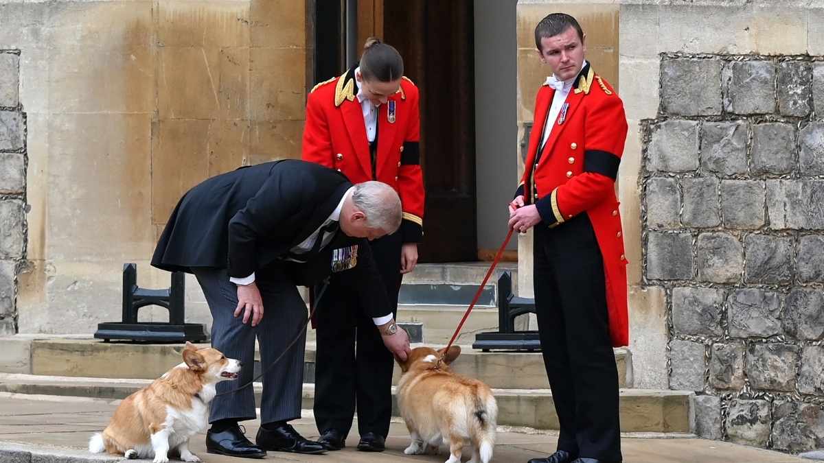 Ex-Prince Andrew Skips Walk With Only 2 Loyal Royal Companions — Report ...