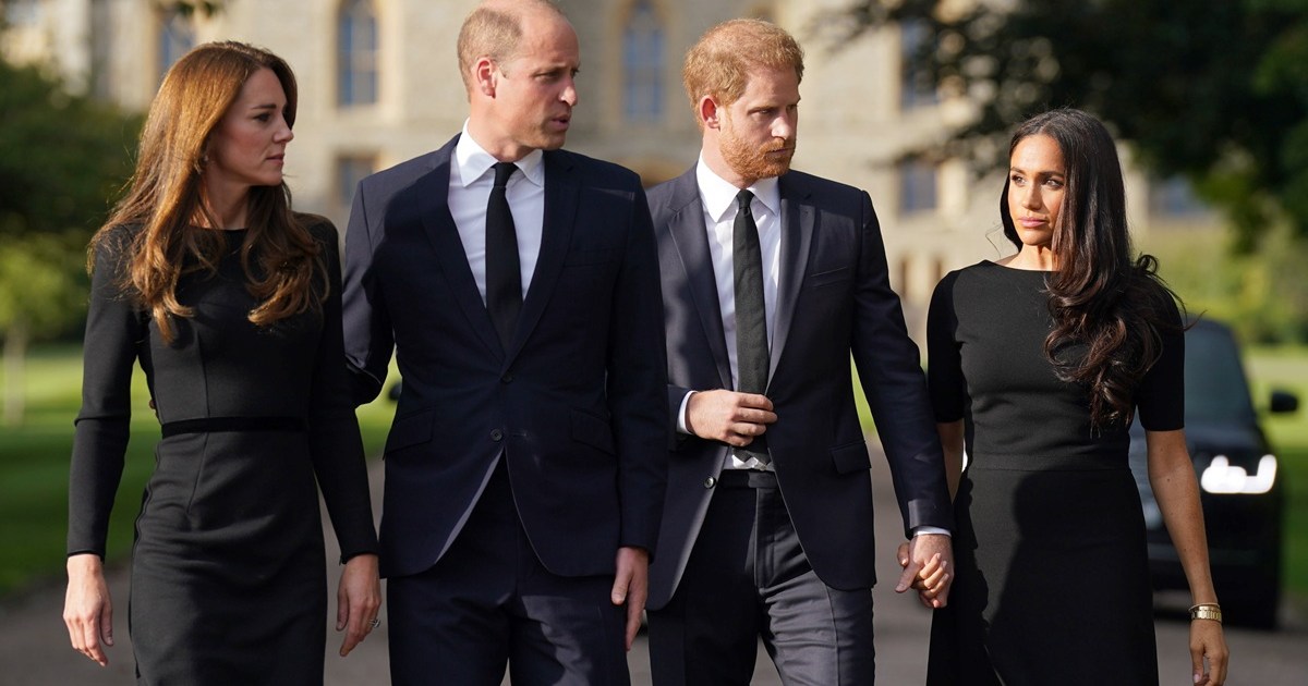 Meghan & Harry 'Envious' of Prince William's Latest Move — Insider ...